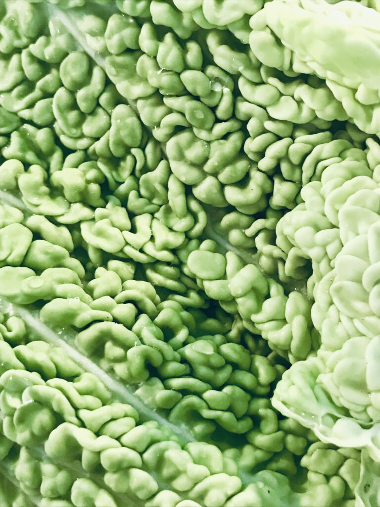 SAY HI - Yannick Benavides